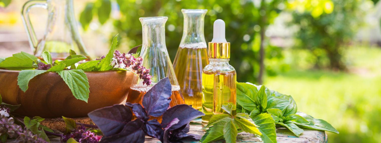 How to Incorporate Plant-Based Exosomes into Your Skincare Routine for ...
